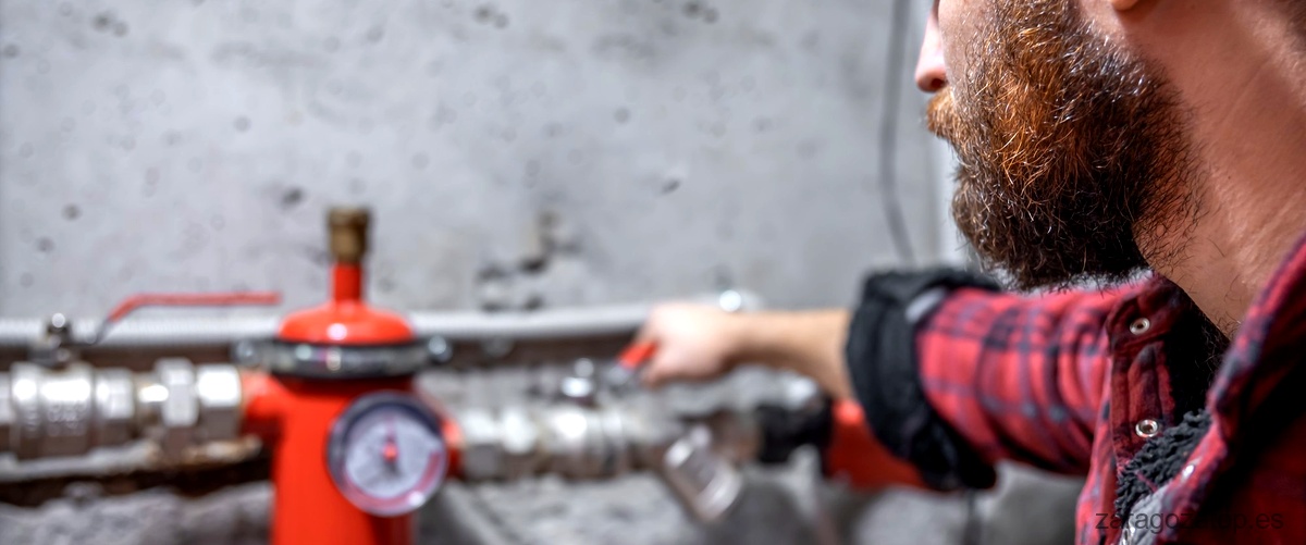 Los 18 mejores fontaneros de Zaragoza